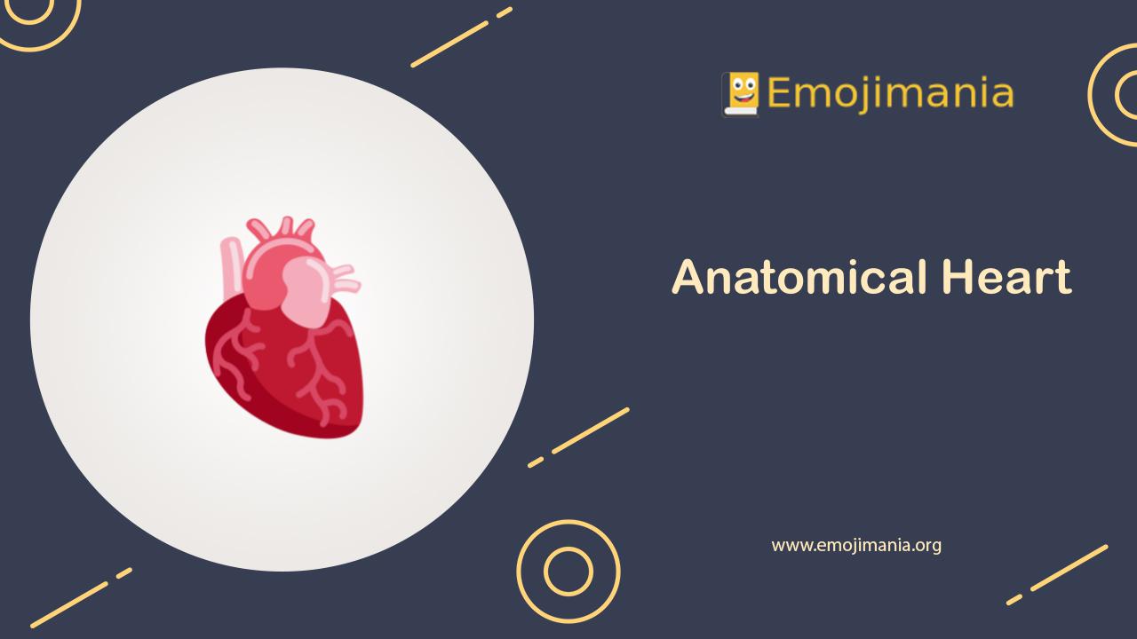 🫀 Meaning | Anatomical Heart Emoji | Copy and Paste